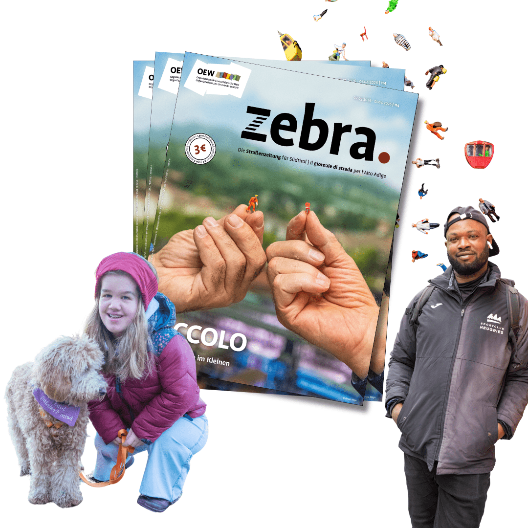 zebra. im März - OEW